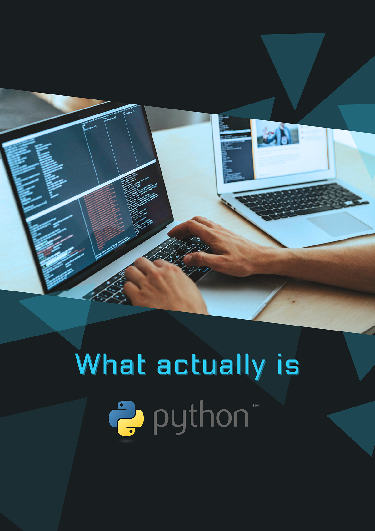 “Why Python is the Perfect Language for Beginners and Pros Alike” | by ...