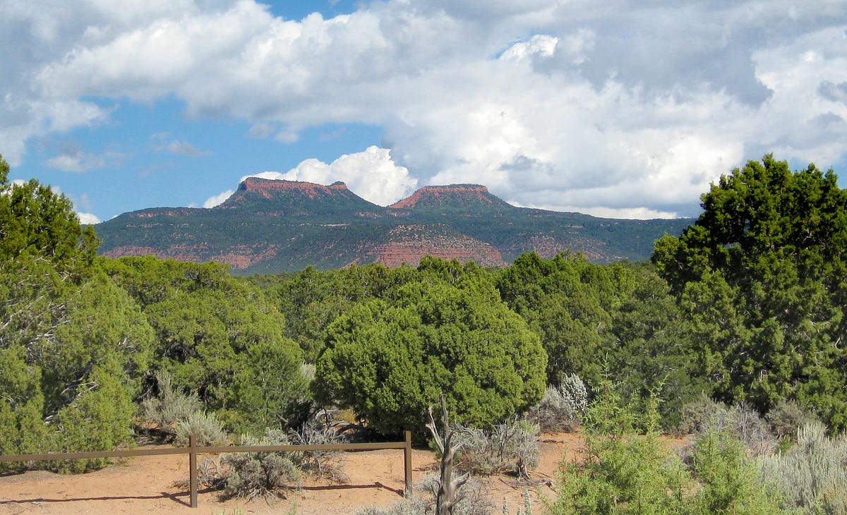 Public Lands Should Speak to Everyone | by Rhea Suh | Natural Resources ...