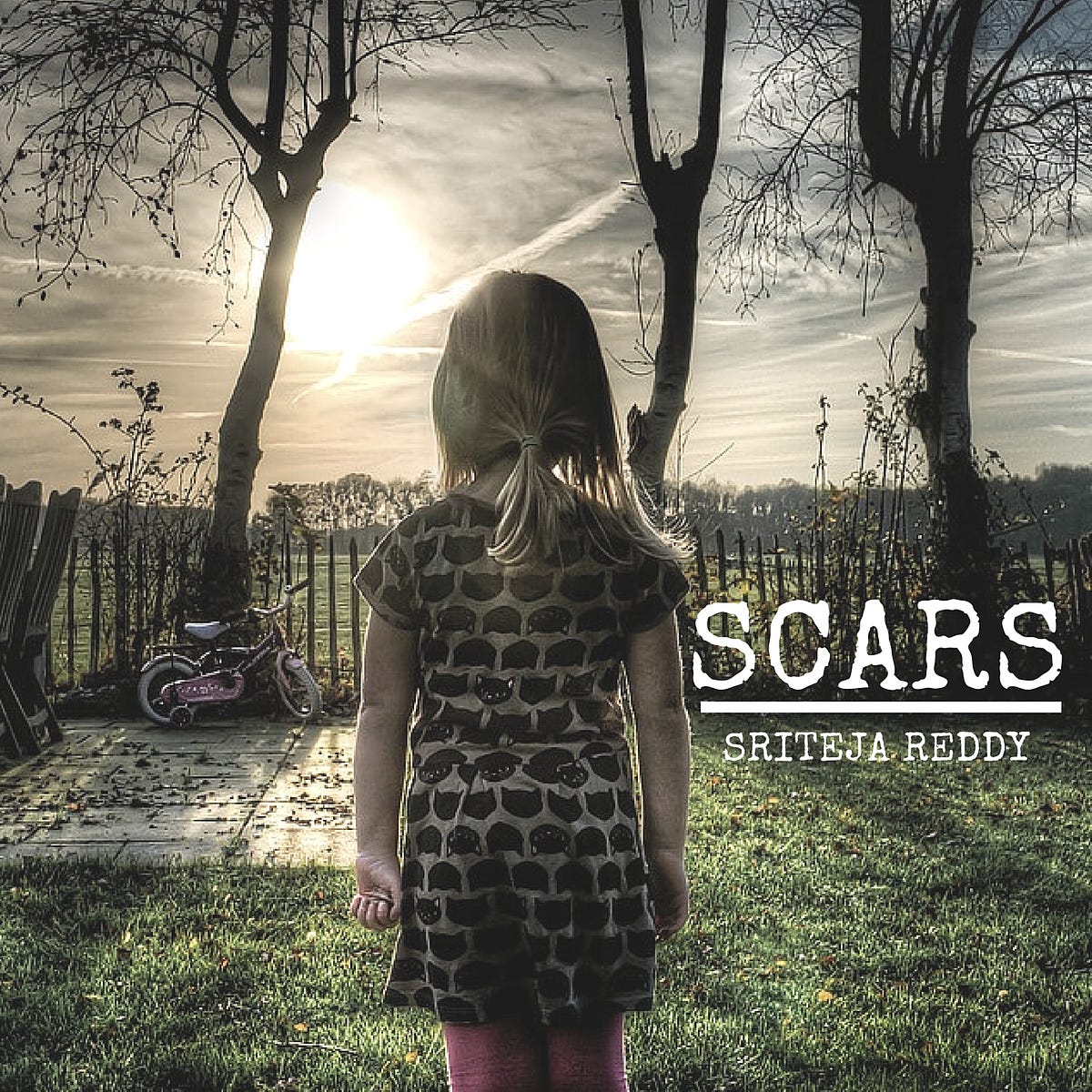 Scars. I fell off the bicycle when I was 4… | by Sriteja Reddy Wudaru ...