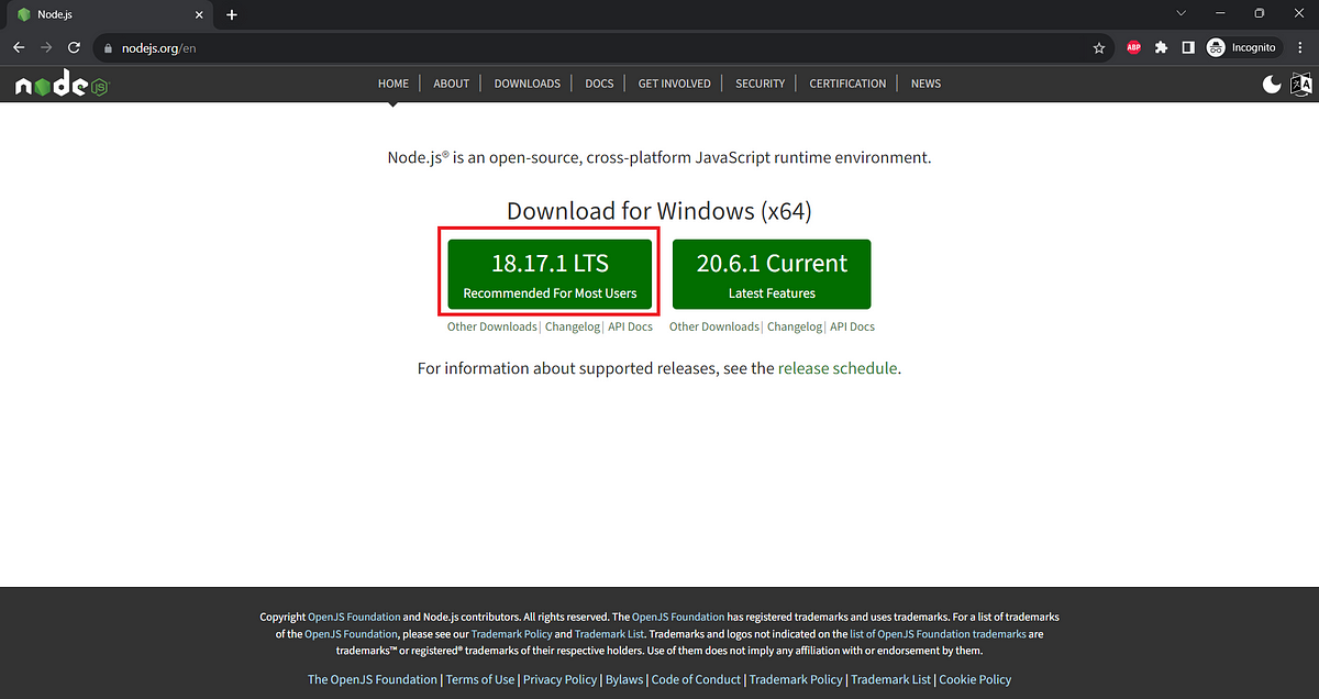 Project Setup For Reactjs — Downloading And Installing Nodejs And Vs Code By Shubham Nagar 2195