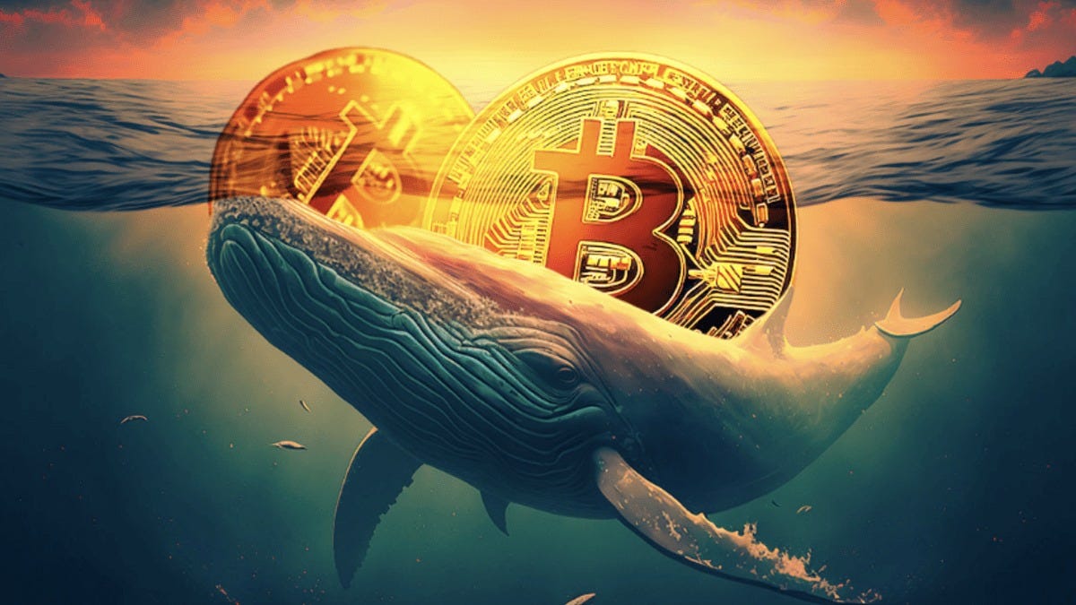 6 Tools to Track Crypto Whales on Solana DEX Platforms? | by Alex Lim ...