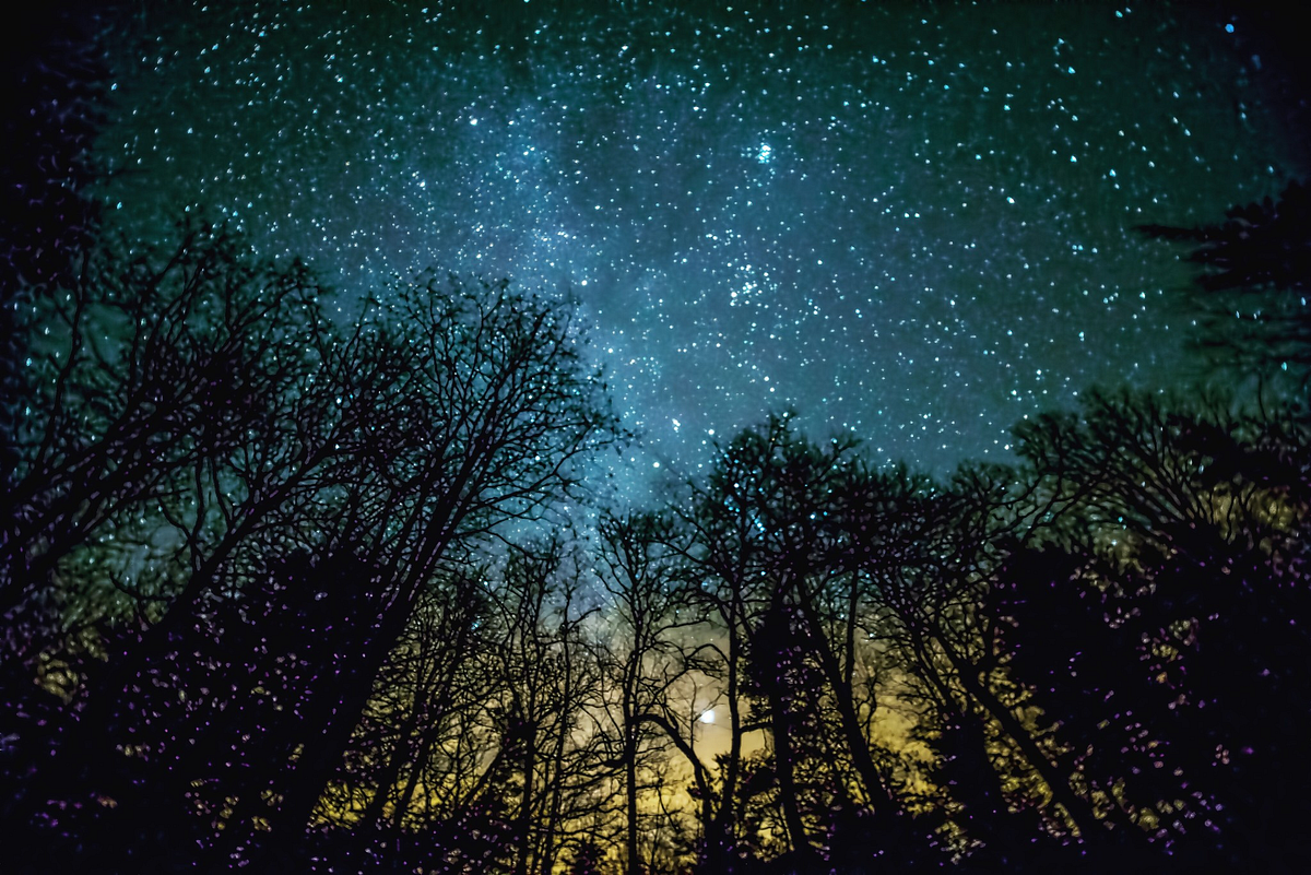 A Night of Enchanted Spirits. Part 1 of an extraordinary journey | by ...