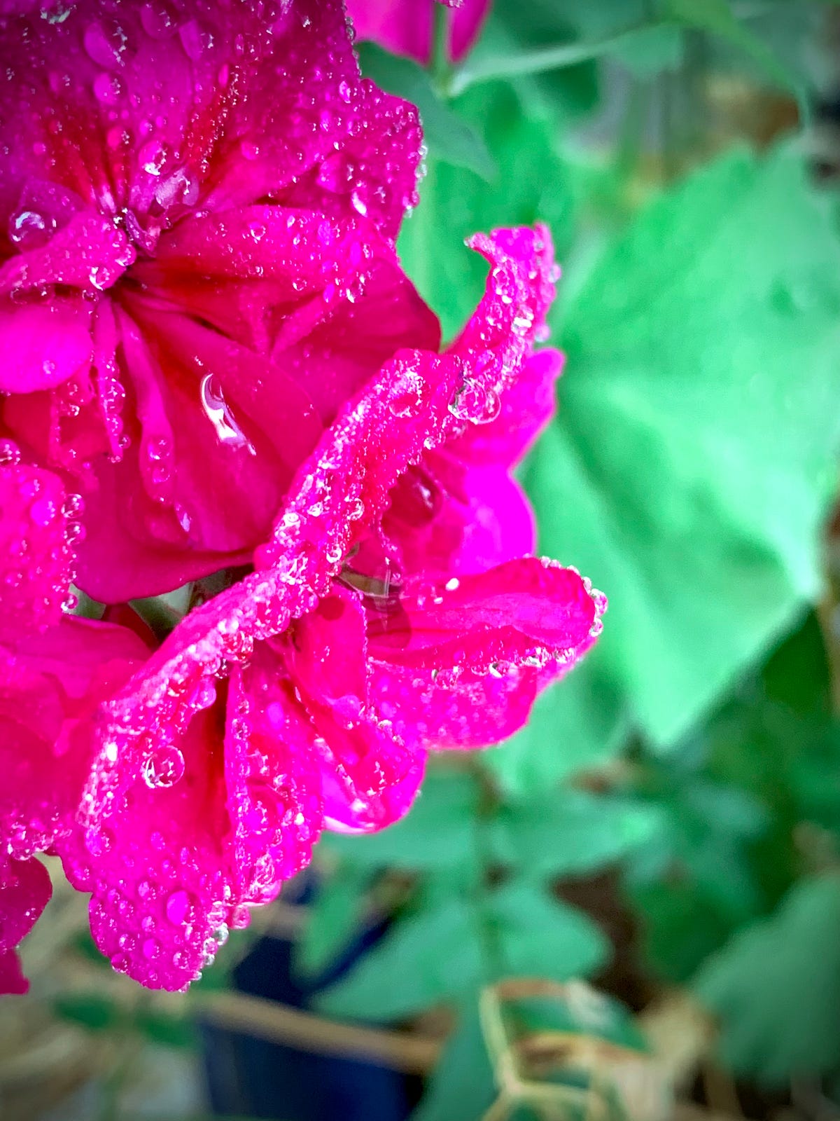 Meddlesome Matchmaking: Emma. These photos I made remind me of one of ...