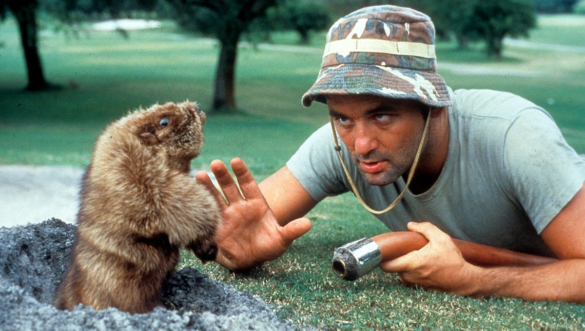 Caddyshack Governments!. How Elon Drained the Pool in Search of… | by ...