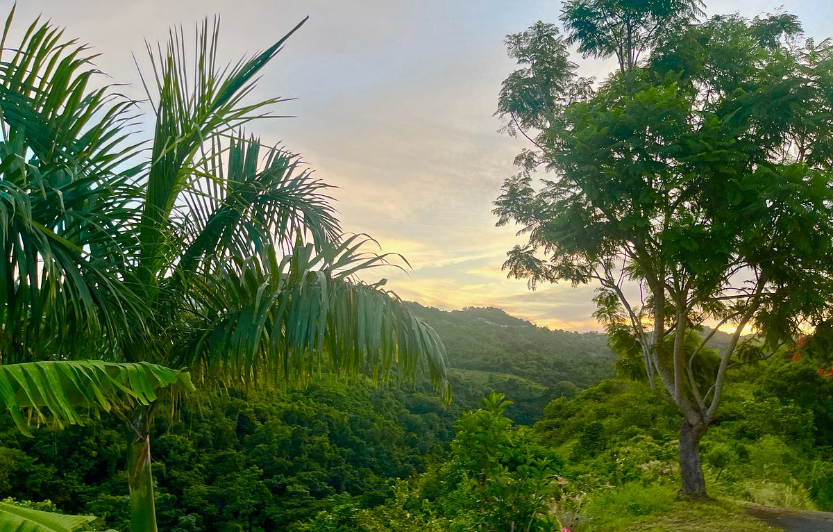 Tropical Twilight. The fleeting colors of evening | by Ronald C. Flores ...