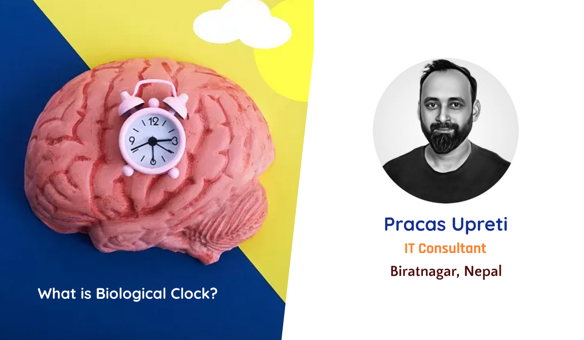 what-is-biological-clock-the-biological-clock-often-referred-to