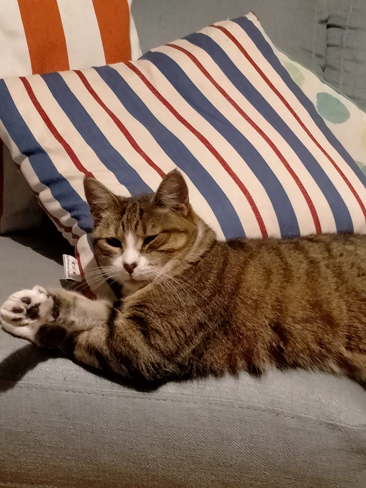 No approval needed. 02 March 2024 | by Kitty Parker | Medium