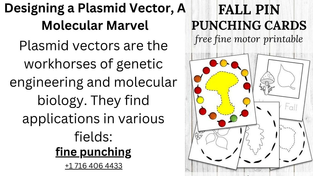 Designing a Plasmid Vector, A Molecular Marvel | by Fine punching | Medium