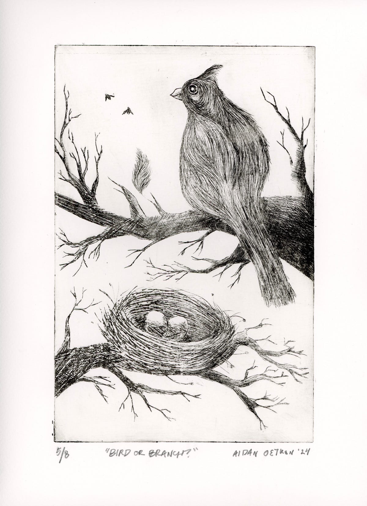 The Bird or the Branch. Which are you? | by *aidan oetken | Medium