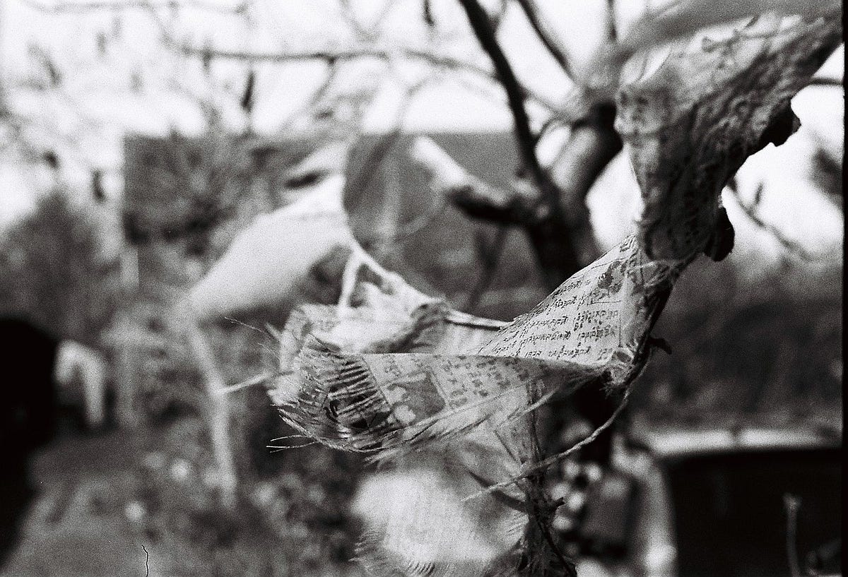 The Expression of Pain Through Photographs | by Fred Shirley ...