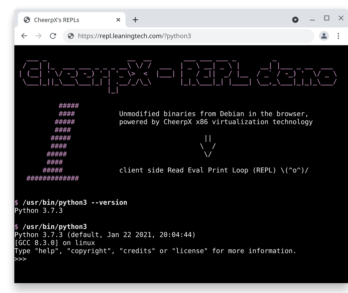 CheerpX: Using WebAssembly to run any programming language in the browser | by Alessandro ...