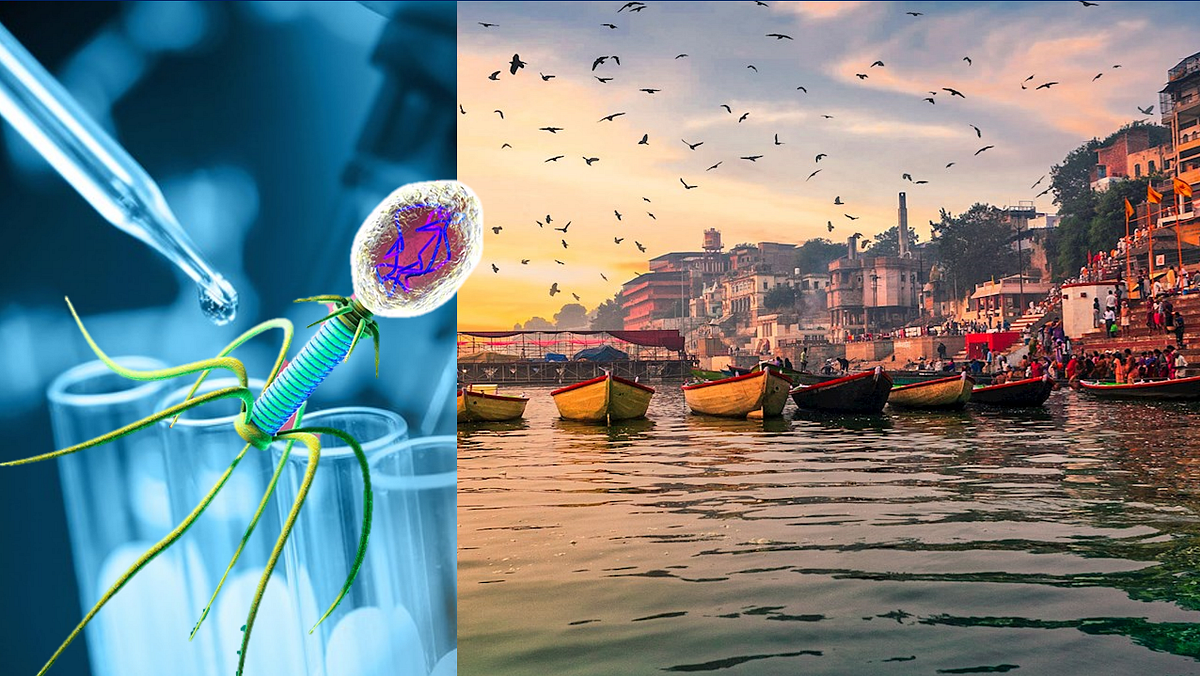 Guardians of Purity: Bacteriophages and the Holy Ganges | by RxRewinds ...
