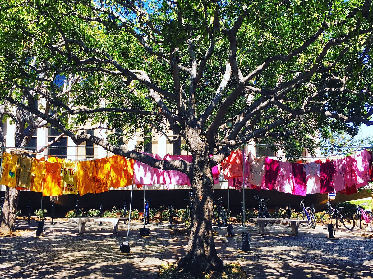 The Significance Behind the Clothesline Project | by Pauline Ta | UCI ...