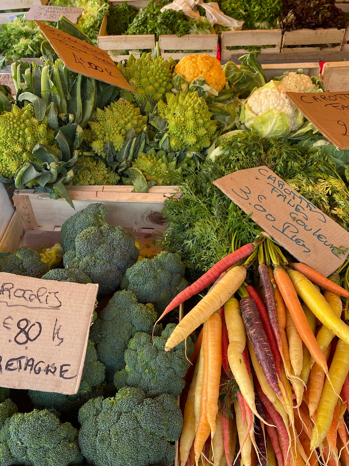 Vegetable Ensemble | by Emily Magda | Medium