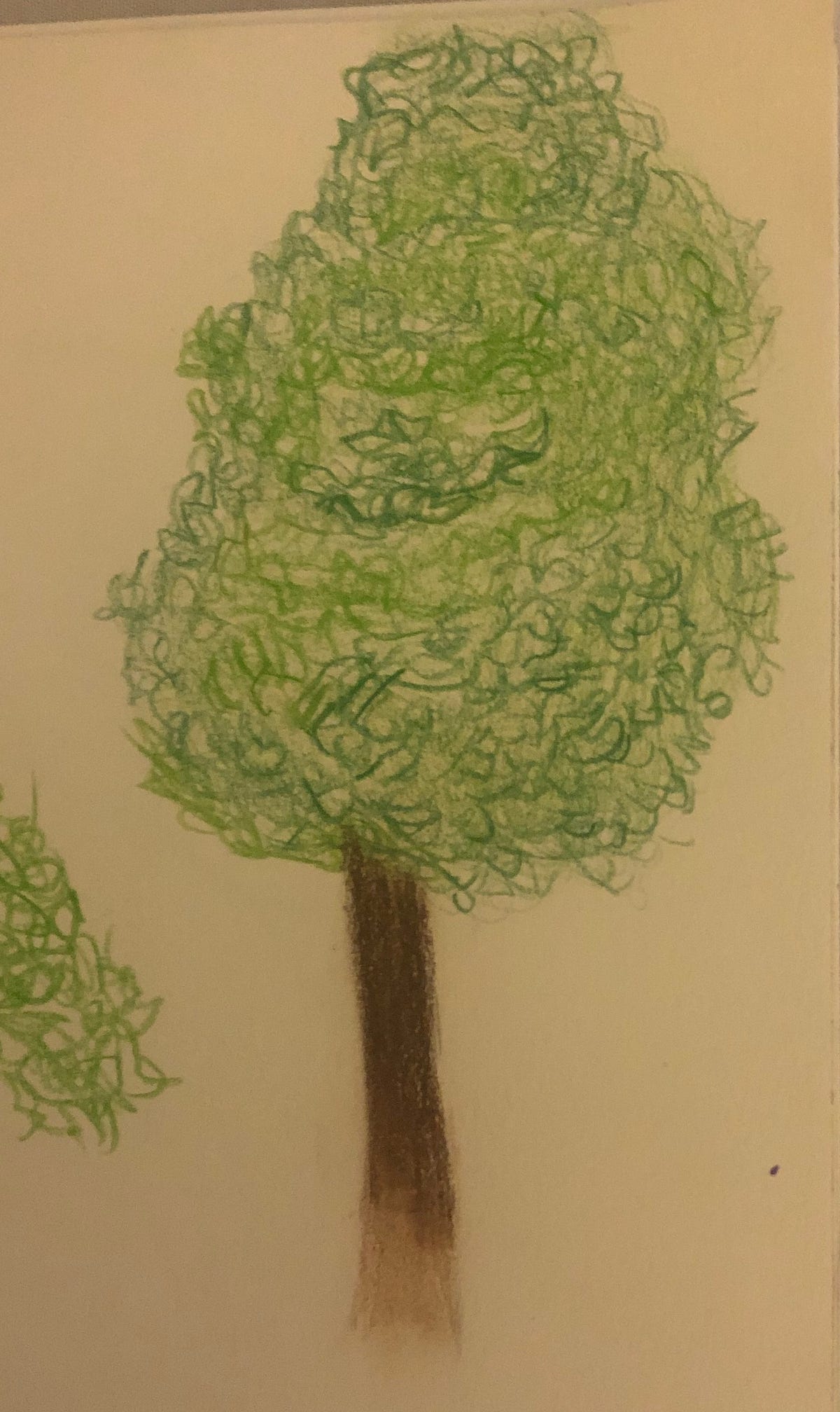 Week 3 — Art Activity — Drawing. Creating these sketches was fun ...