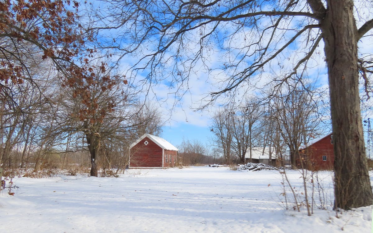 Wonderful Winter Snowy Views. A View from Here 12–8–24 | by Dawn Ulmer ...
