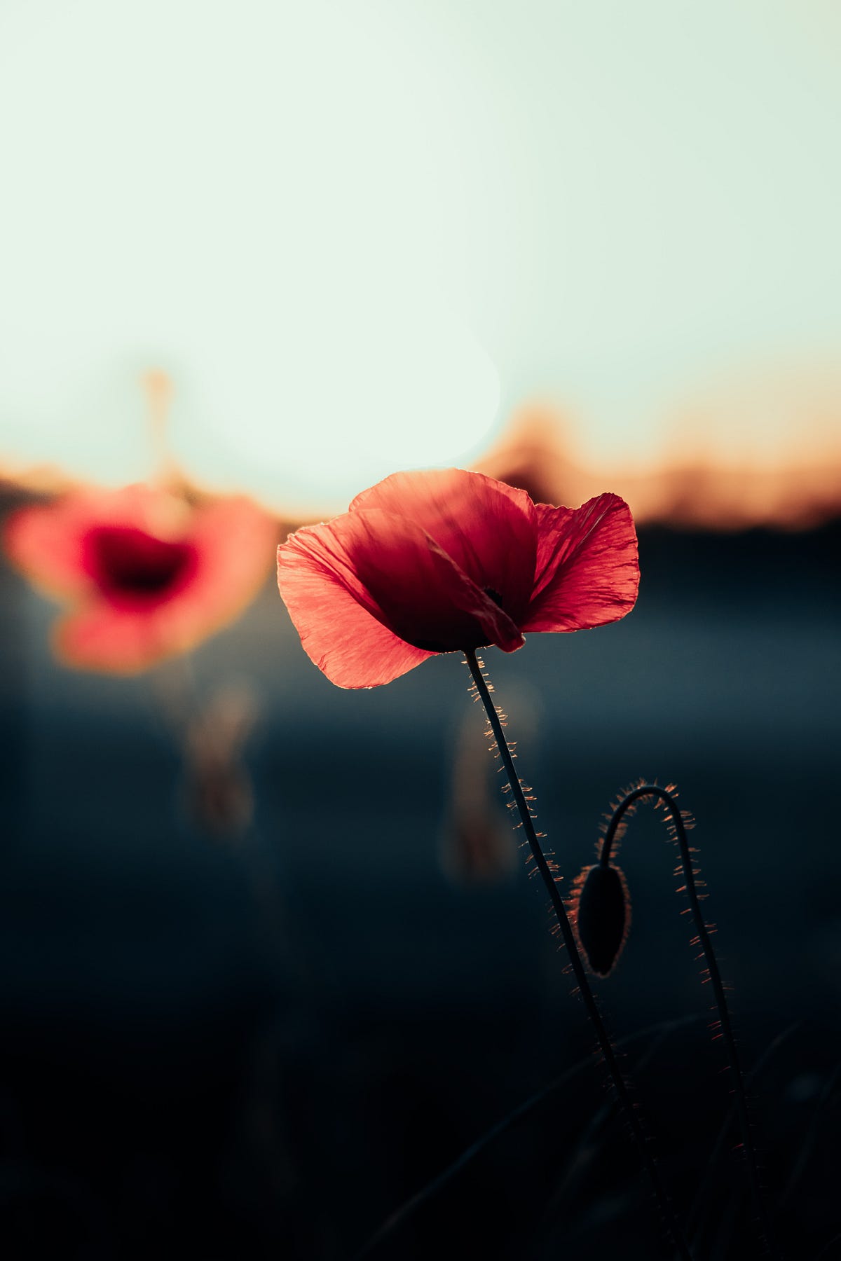 The Only Thing That Counts Is Telling Stories | by Thomas Gaudex ...