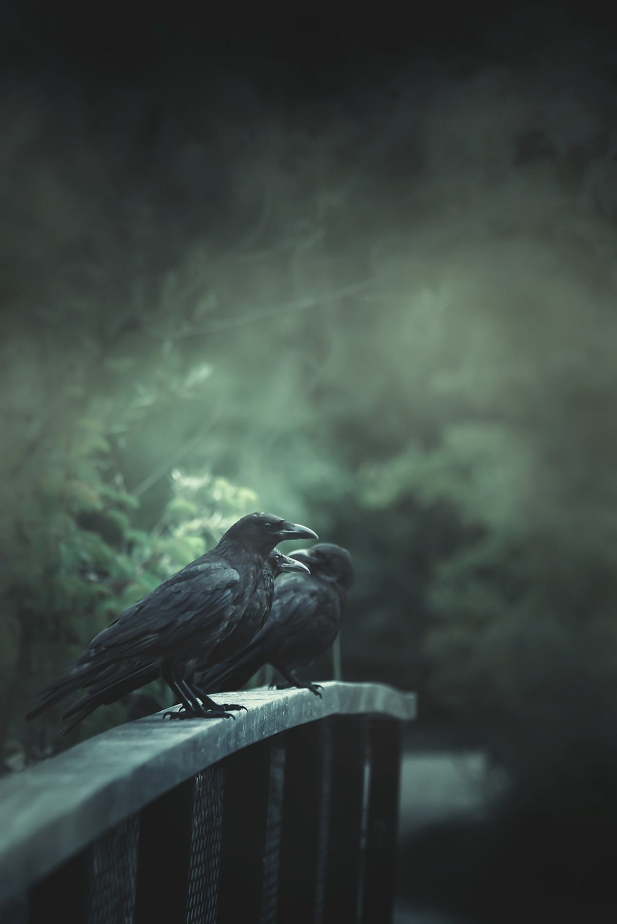 Death Awareness and Acceptance: Finding Peace In What We Fear | by Dr ...