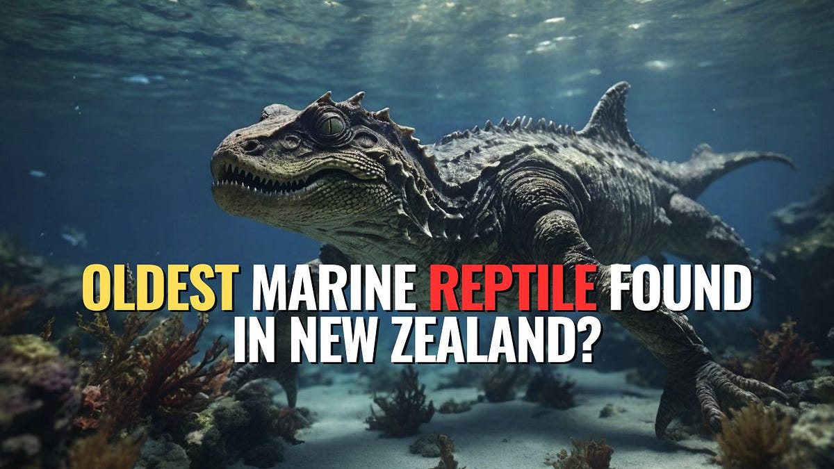 Oldest Marine Reptile Found in New Zealand? | by Dark Energy Articles ...