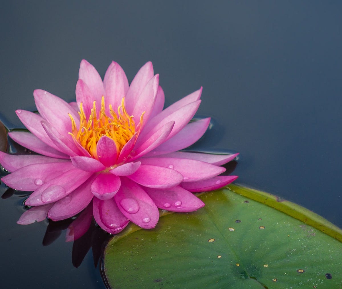 Balance - Know Thyself, Heal Thyself - Medium