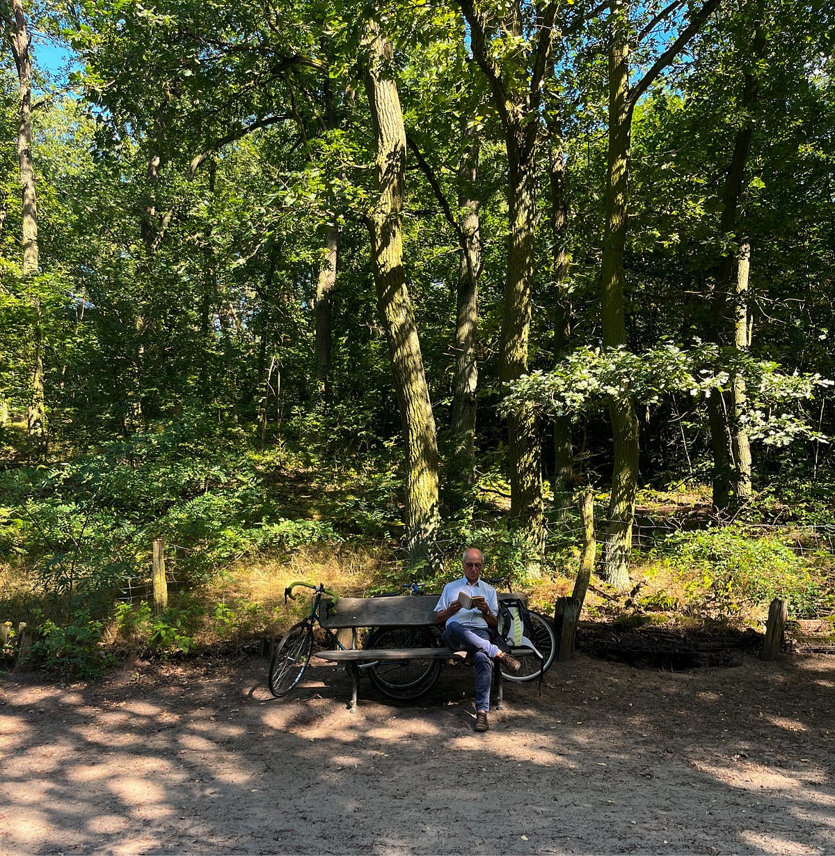 Tiergarten - Makenna Brown - Medium