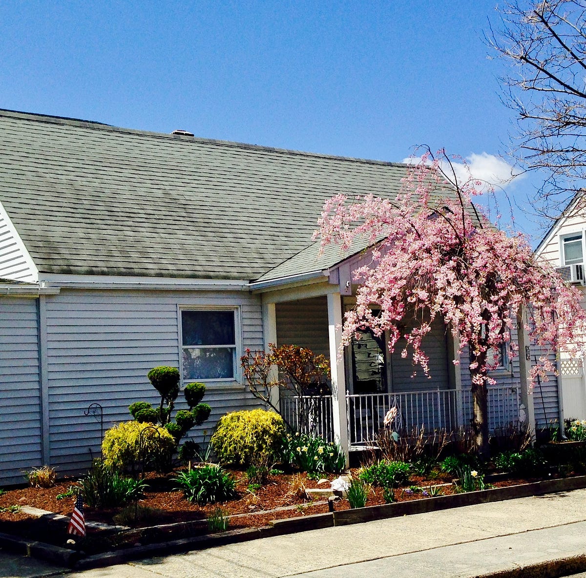 Moving On. The stars aligned and my next calling… | by Meryl Baer ...