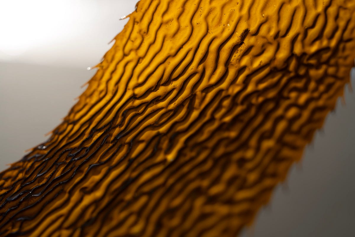 The First Climate Tipping Point Has Arrived — And It’s Only the ...