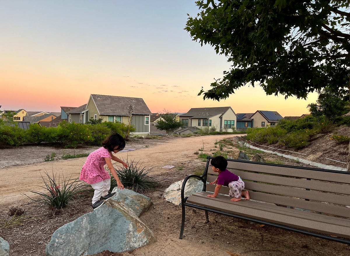 Peace Under The Sycamore. Our happy place | by Dr. Seema Patel (PhD ...