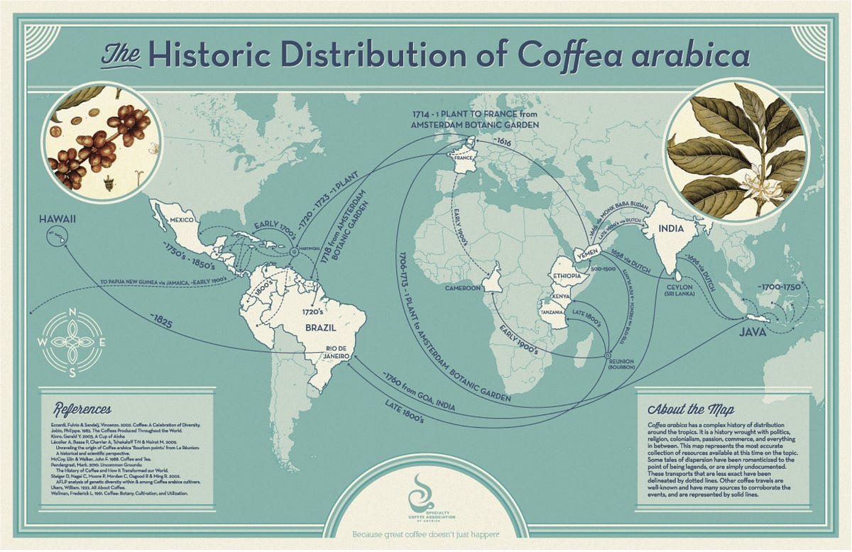 Exploring origins of Coffee. A Brief Coffee Origin for Time-Savers ...