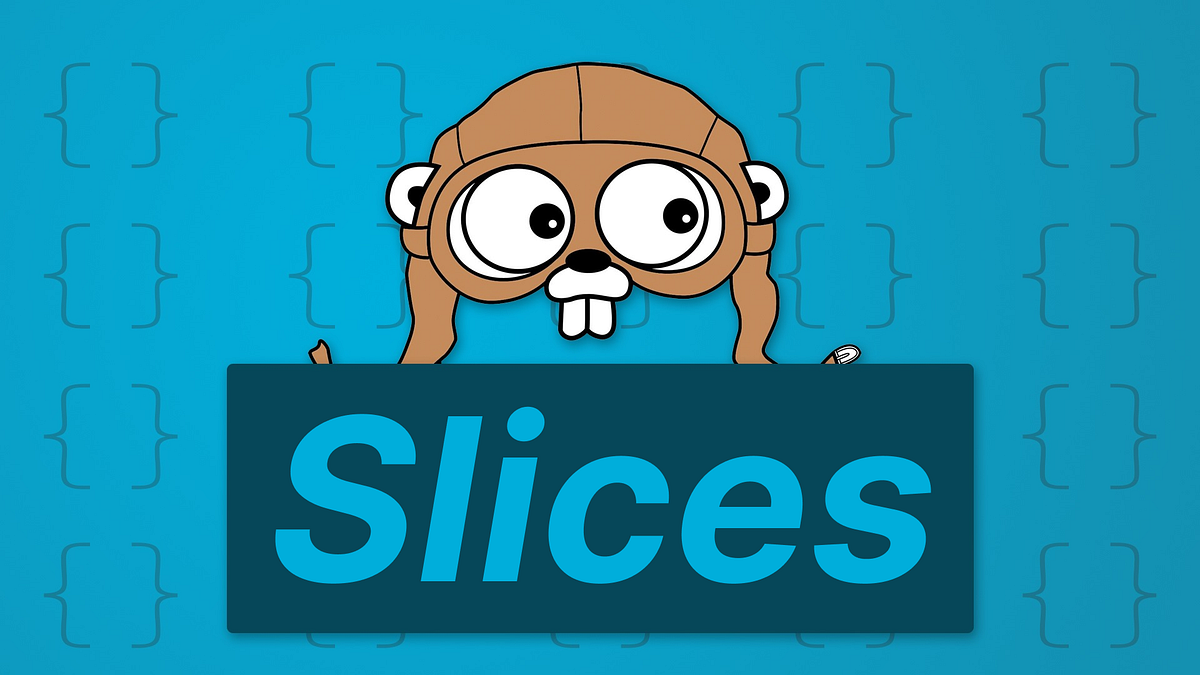 Deep dive into the go slices: Understand the go lang slices | Medium