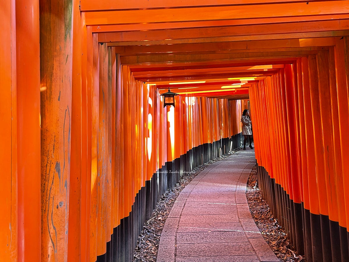 The Beauty of Japan- Kyoto’s 1000 tori gates | by Zack Eldredge | Sep ...