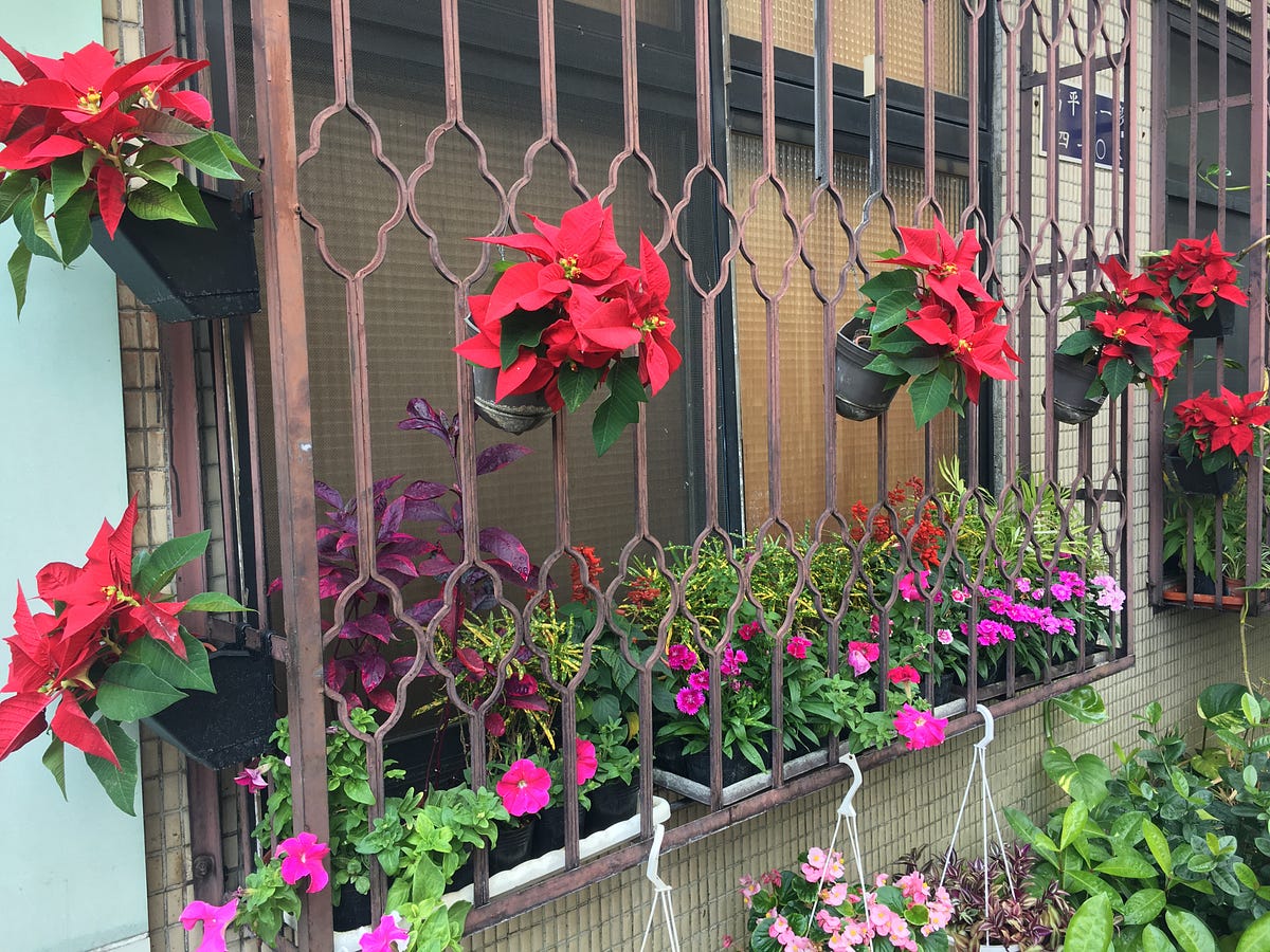 Depression has Entered the Chat. From high to low. | by Virginia Plath ...