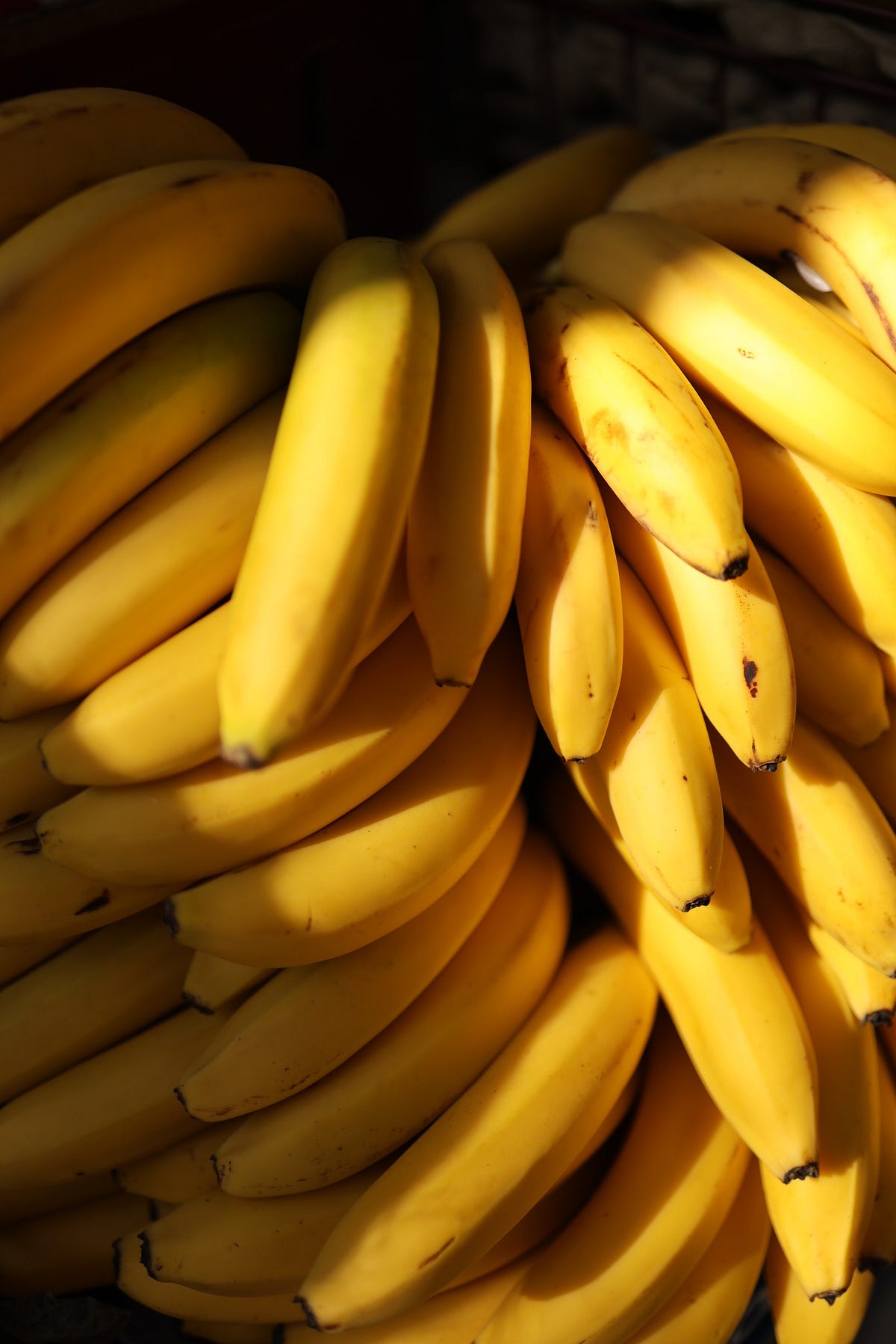 Banana Split Switches: Industrial to Wild Environment | by ...
