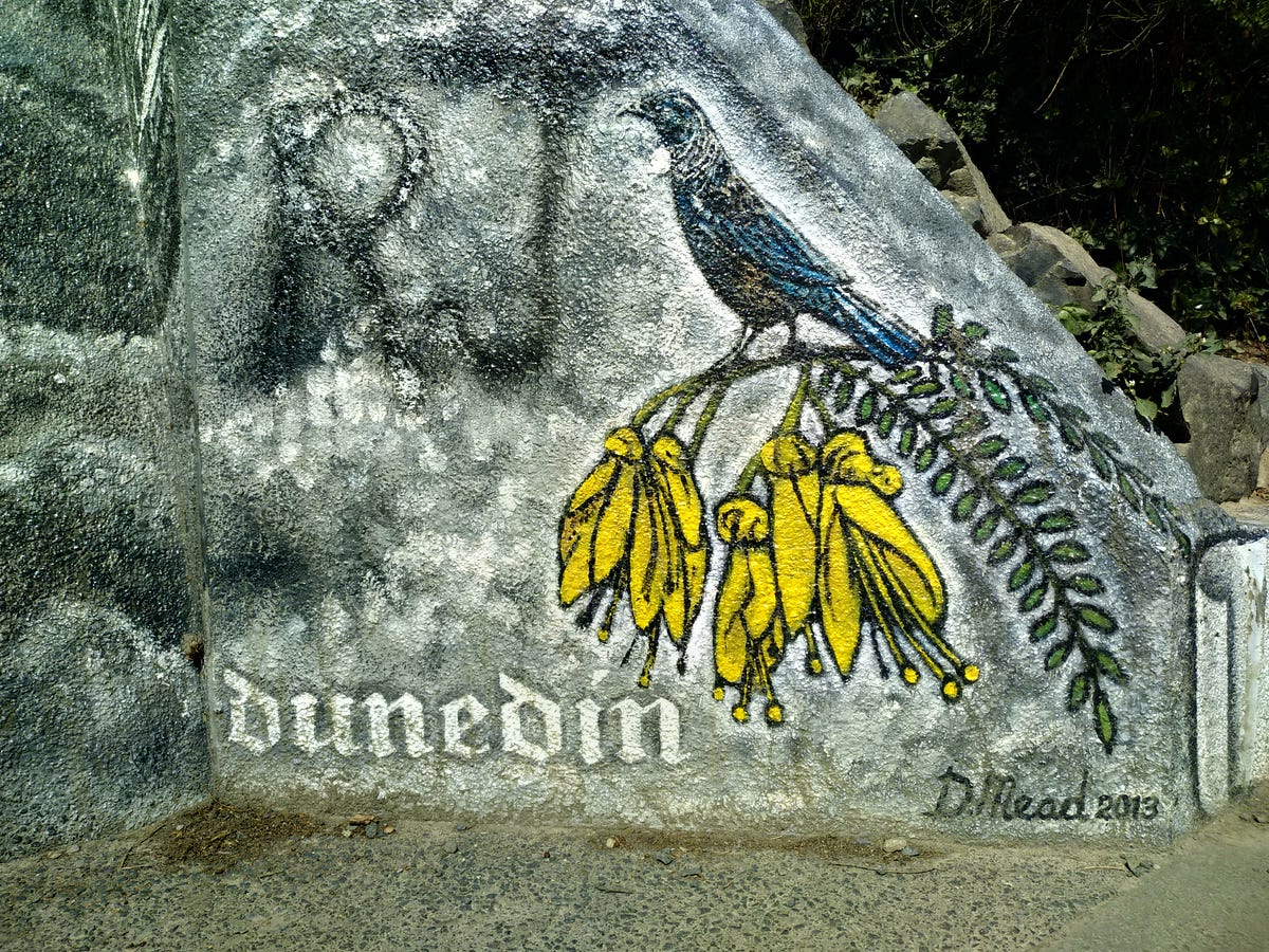 Days 38 — 39: Dunedin. A hunt in the museum and a very steep… | by Dan ...
