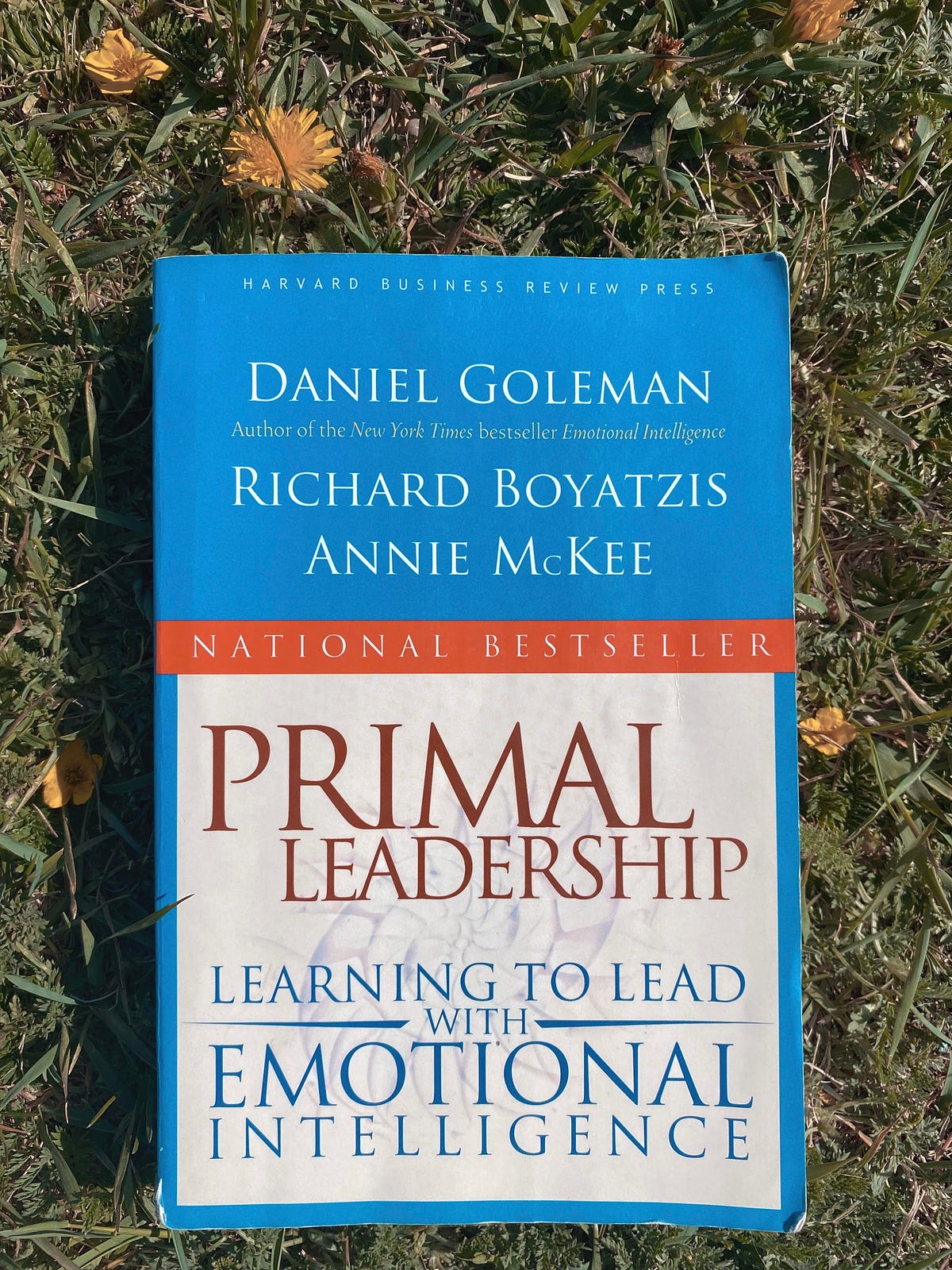 “Primal Leadership” by Daniel Goleman and Richard Boyatzis | by ...