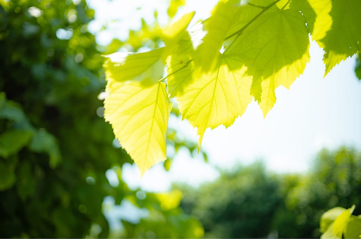 The Art of Authenticity: Why Being Yourself Is Both Freeing and Painful ...