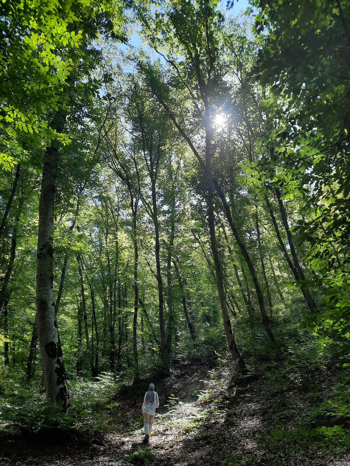 Brave Ink. I truly believe that every writer… | by Gulustan Abdullayeva ...