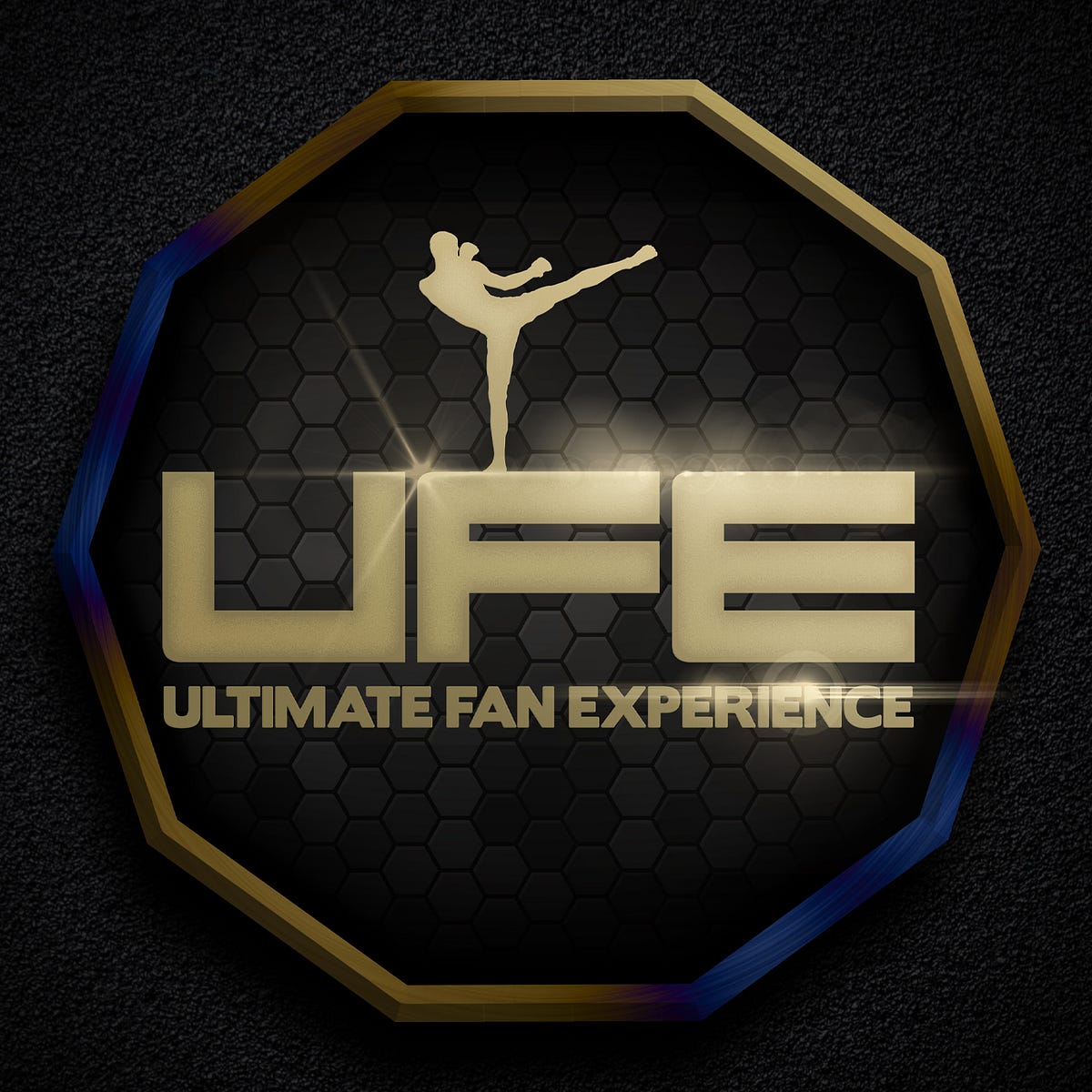 The Ultimate Fan Experience. Reimagining a Better Experience for MMA ...