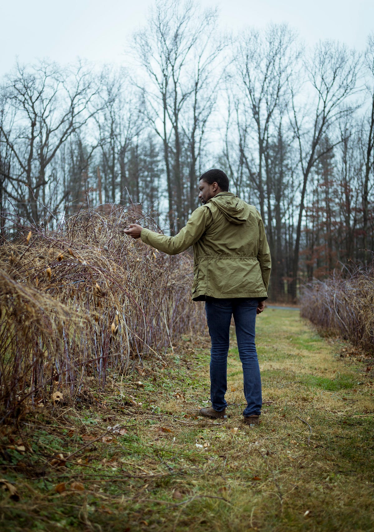 Spring is a Celebration.. Written by Wole Ajagbe | by Wole | Medium