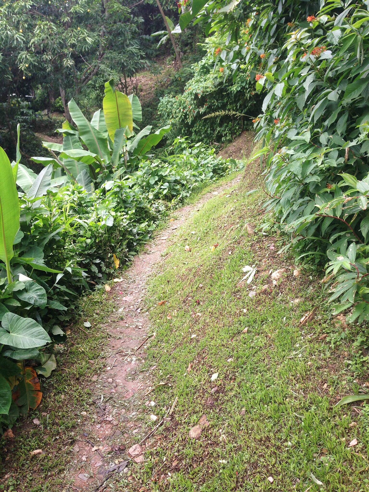 keep walking. I took this picture today but the… | by Tracy Assing | Medium