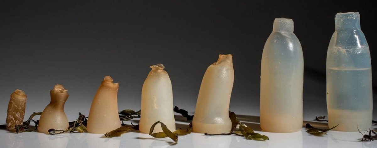 Una botella biodegradable. Los americanos tiran al año 3 billones… | by ...