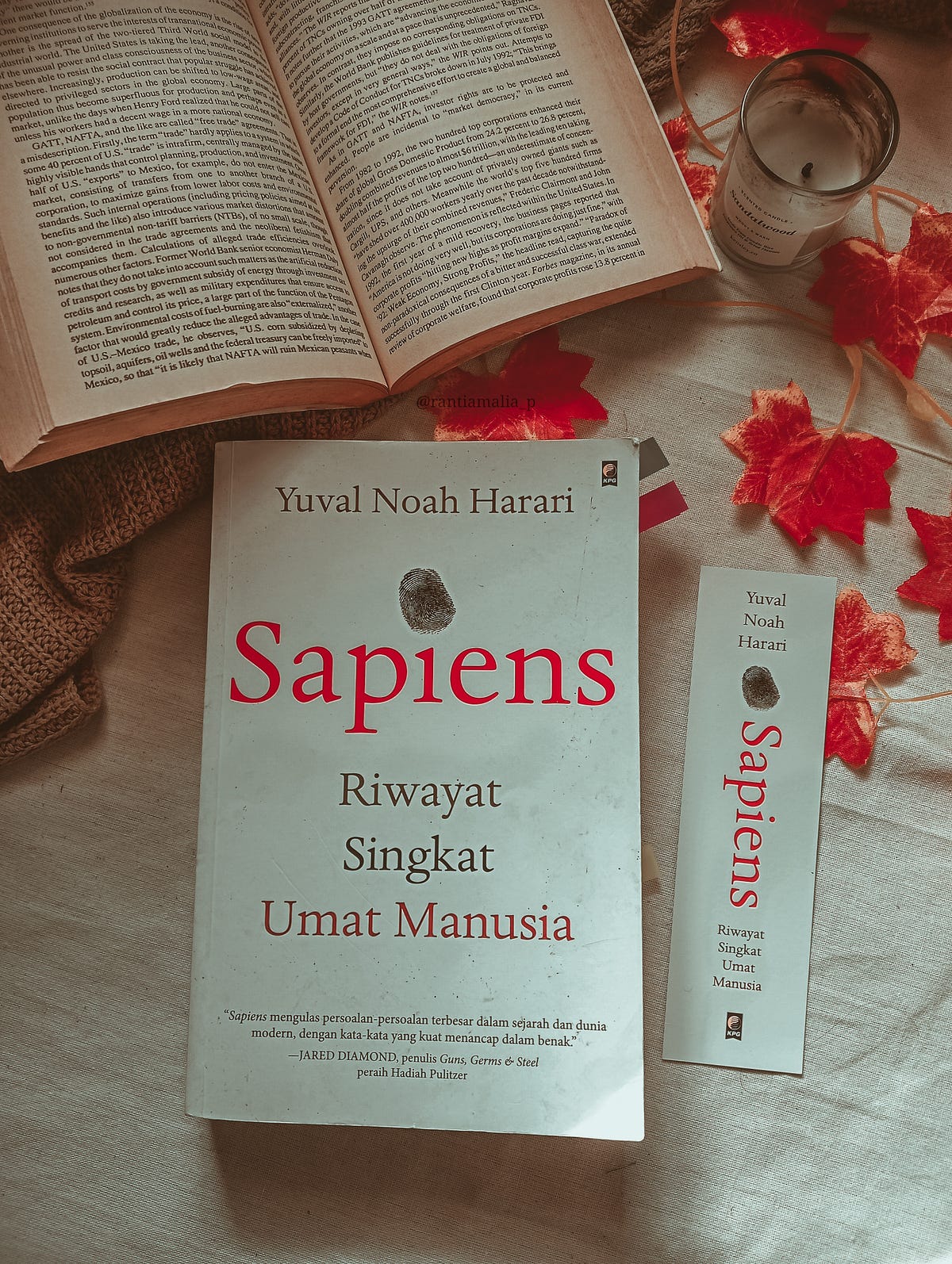 SAPIENS: Riwayat Hidup Umat Manusia melakukan Revolusi Kognitif! | by Ranti Amalia Putri | Nov ...