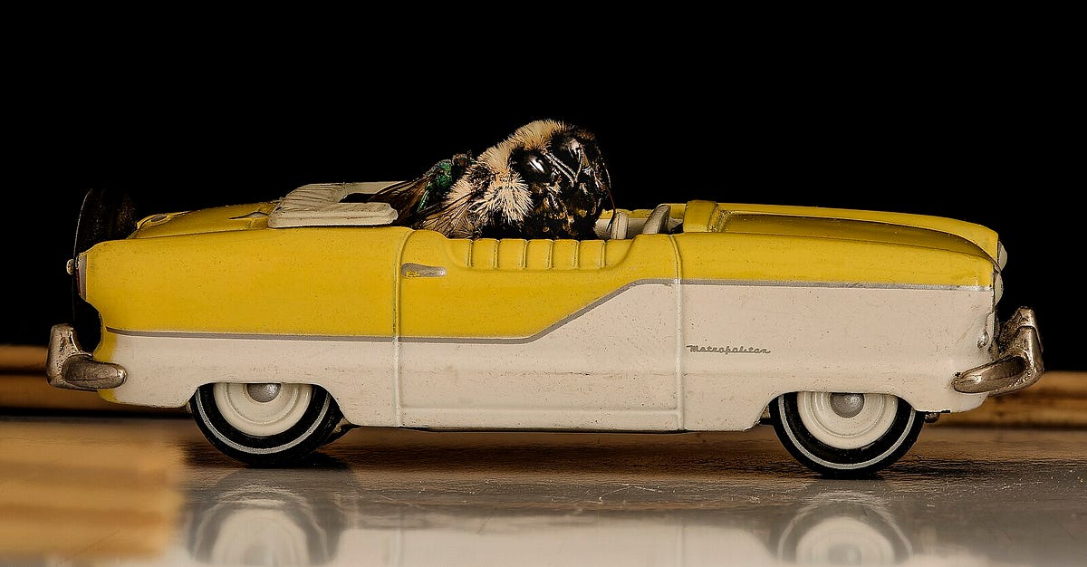 𝓝on-𝓜andate 𝓗aiku - Renée Elizabeth Winfield - Medium