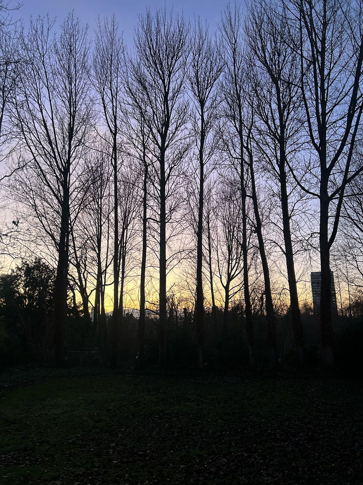 Learning to Flow: Practicing Alignment With Nature, Light, and Everyday ...