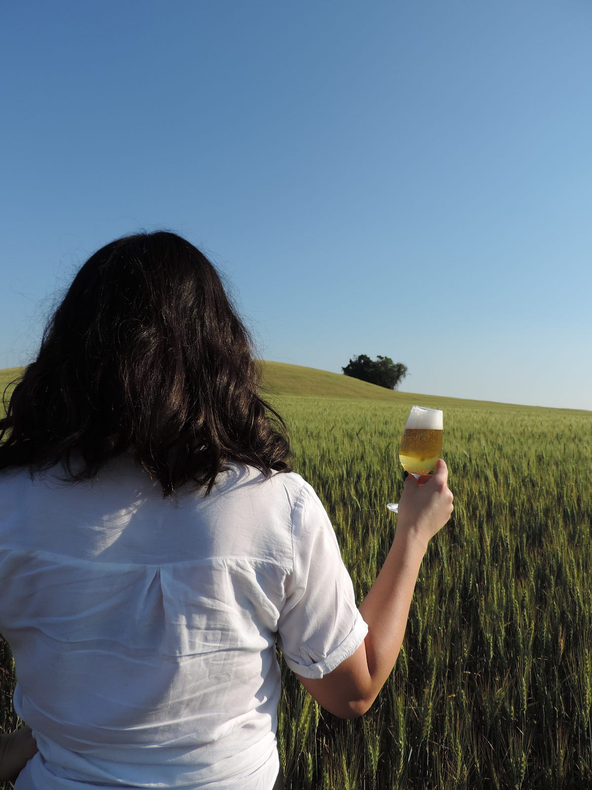 Wheat Beers and Beyond: A Guide to the Best Belgian-Style Beers for ...