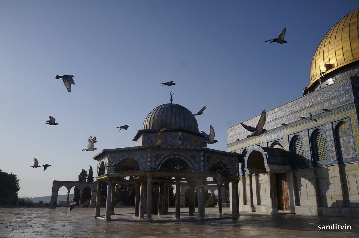 Final Words (Your Story, Our Sipur Epilogue) | by Sam Lit | Medium