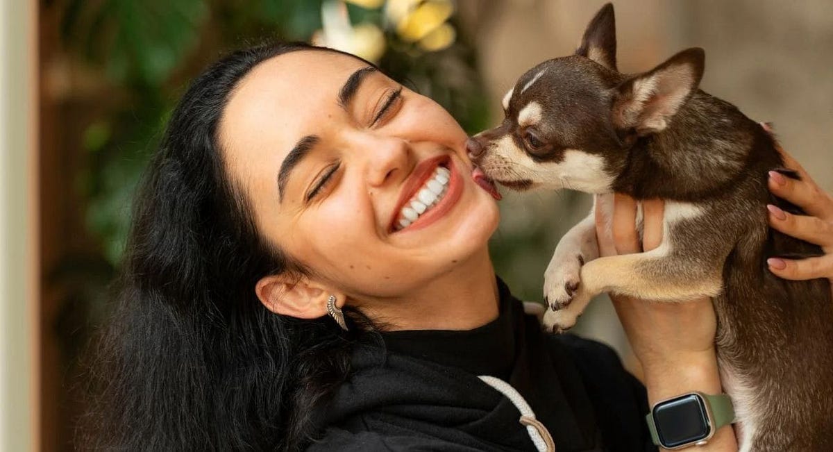 Emotional Contagion in pets: How dogs and cats can absorb Human Stress ...