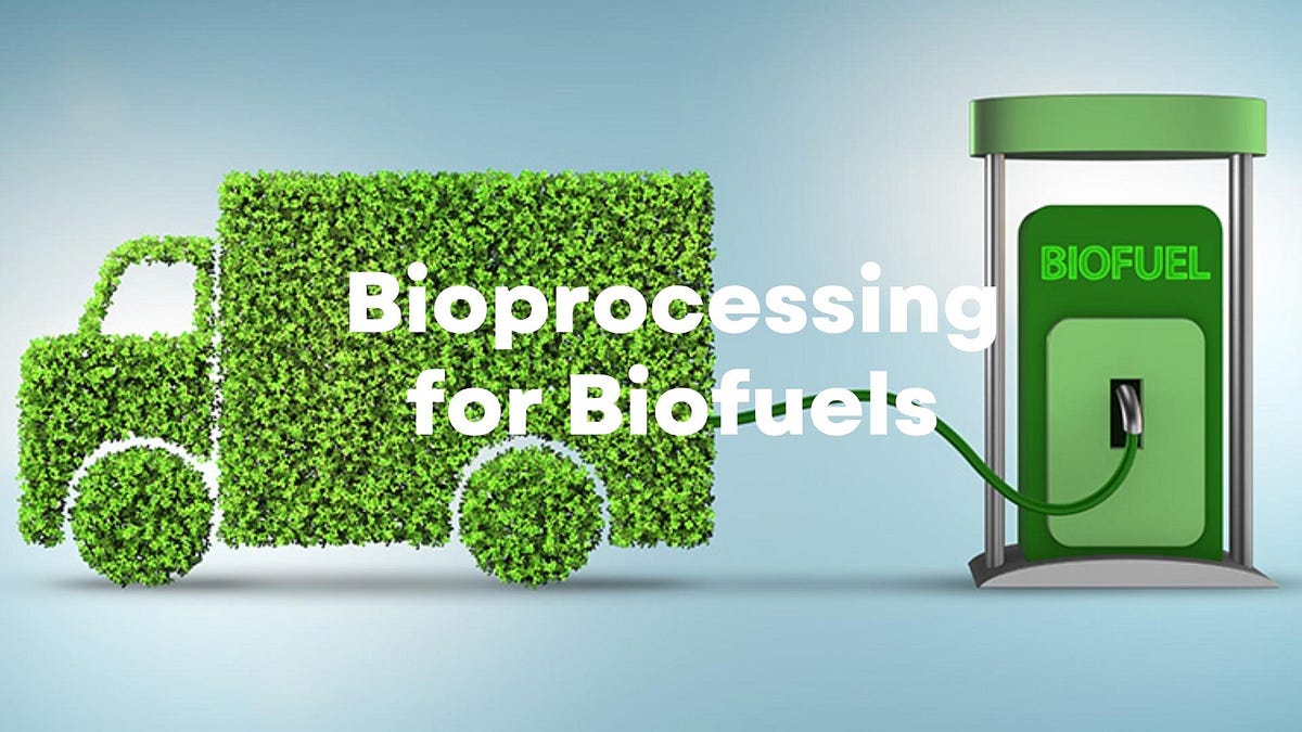 Bio-processing for bio-fuels. Biofuels are an alternative to fossil ...