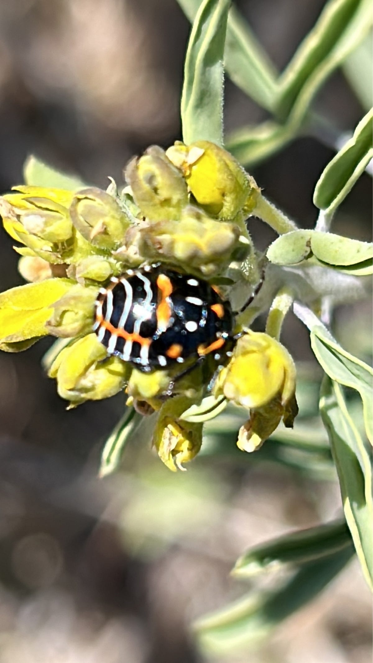 My Scientific Method Needs Some Work | by Brian D. Haig | The New ...