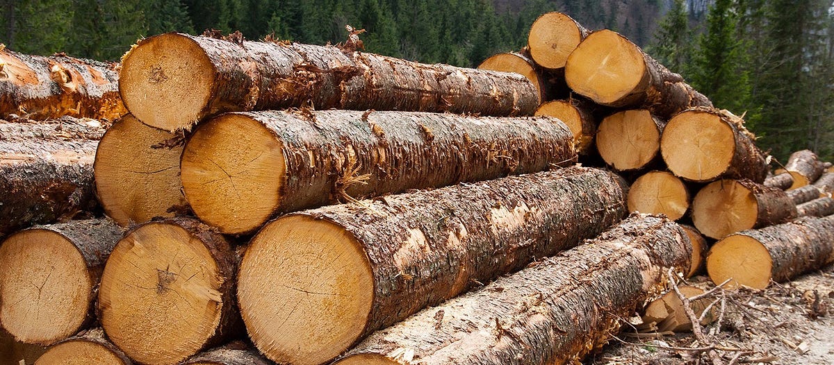 How to handle logs and tracing in Spring WebFlux and microservices | by ...